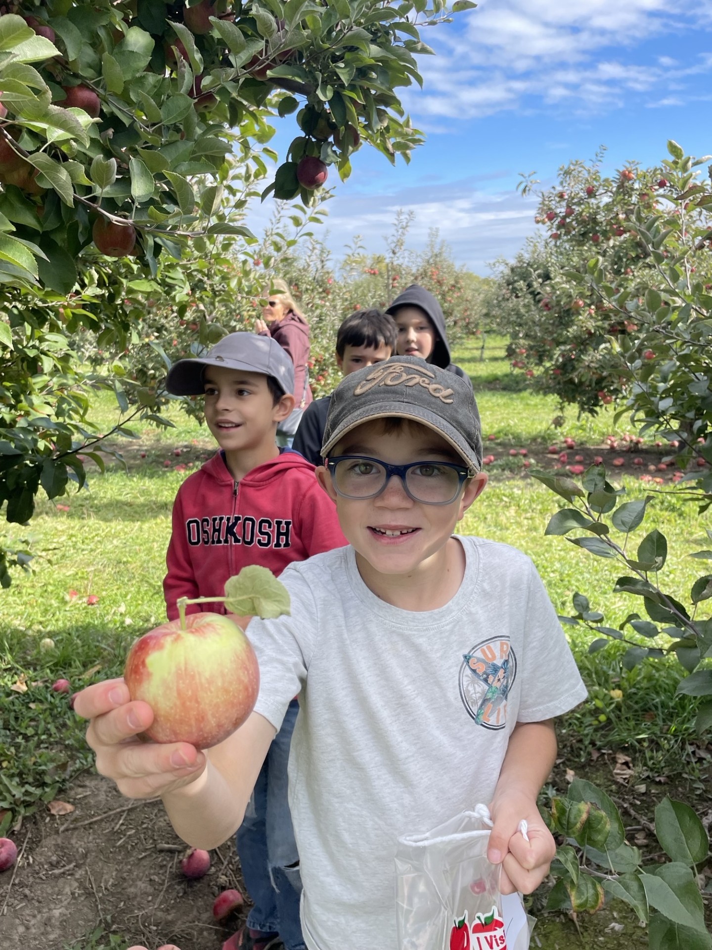 Home - North Addington Education Centre